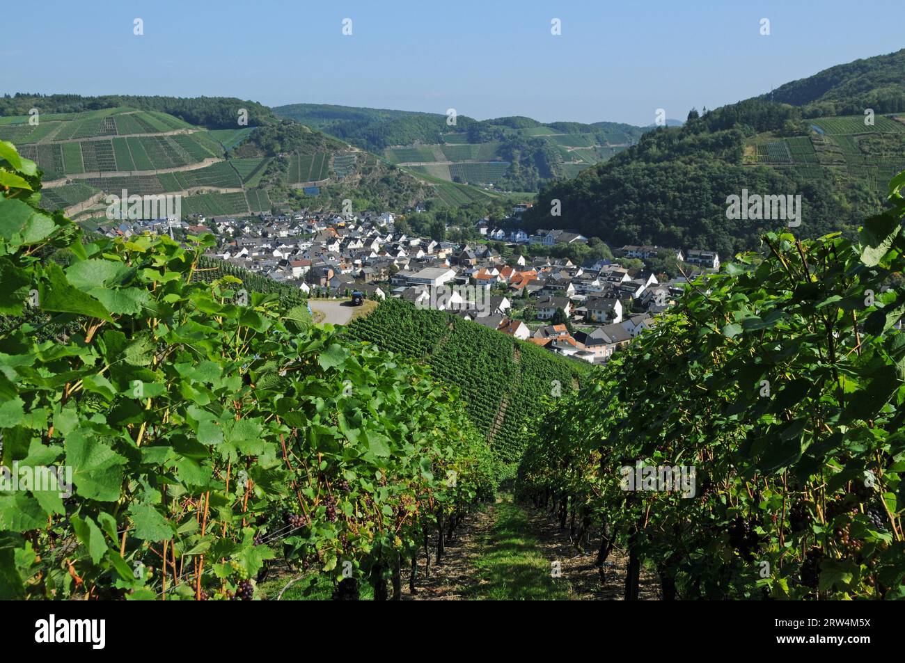 Dernau wine-growing region in the Ahr valley Stock Photo - Alamy