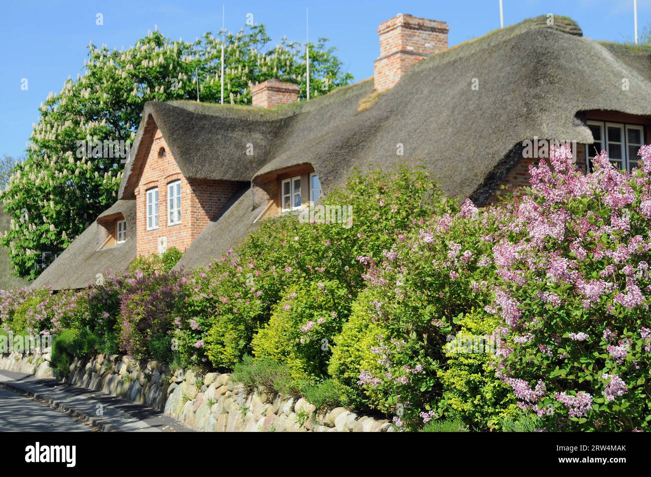 Frisian House on Sylt Stock Photo - Alamy