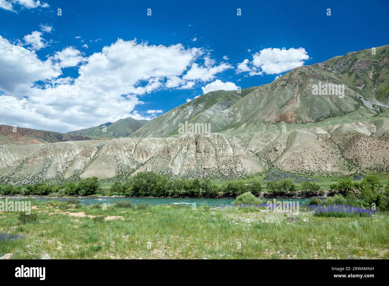 Green water of Kekemeren river, Tien Shan, Kyrgyzstan Stock Photo - Alamy