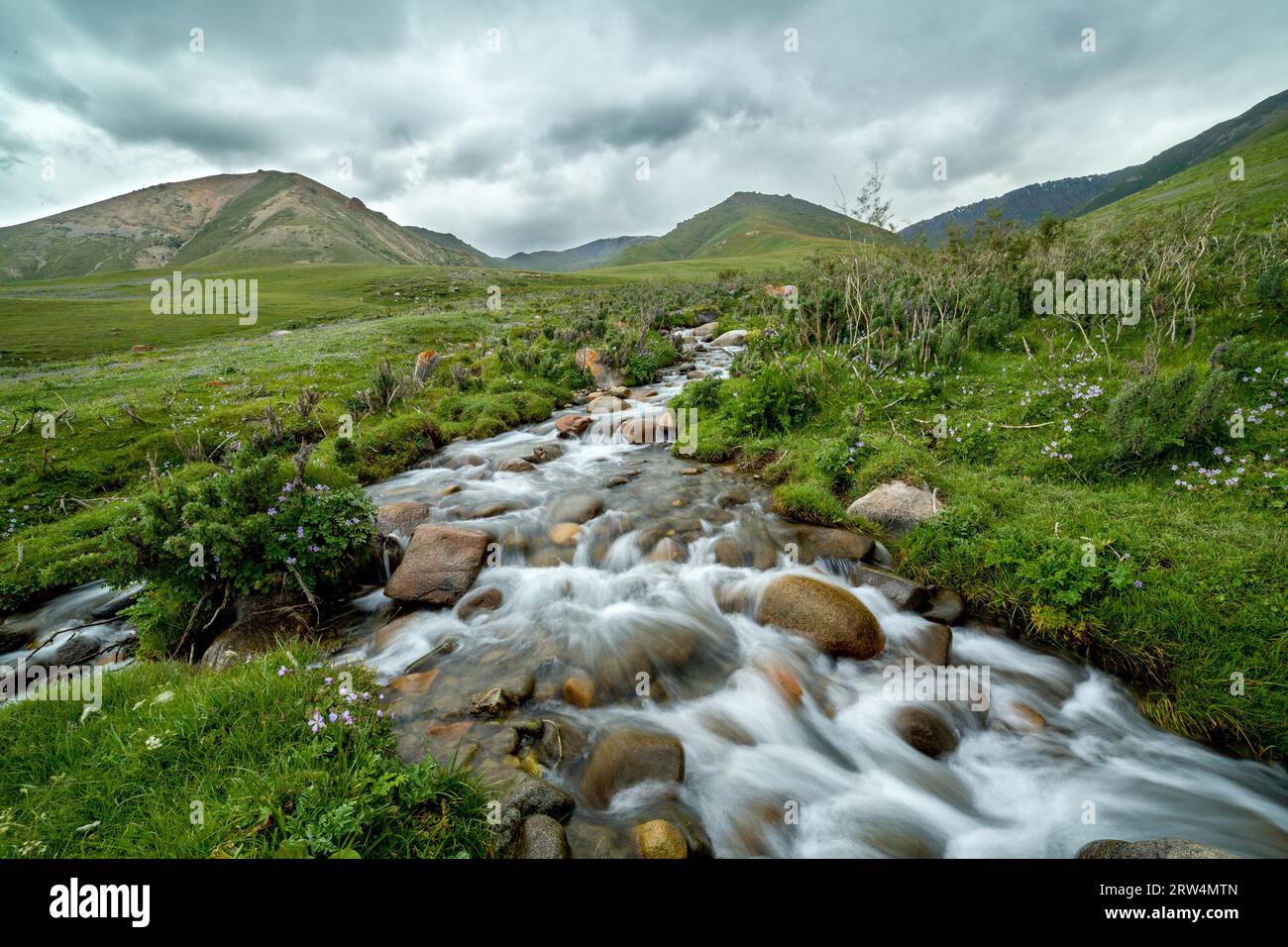 Mountain brook in blurred motion, Tien Shan, Kyrgyzstan Stock Photo - Alamy
