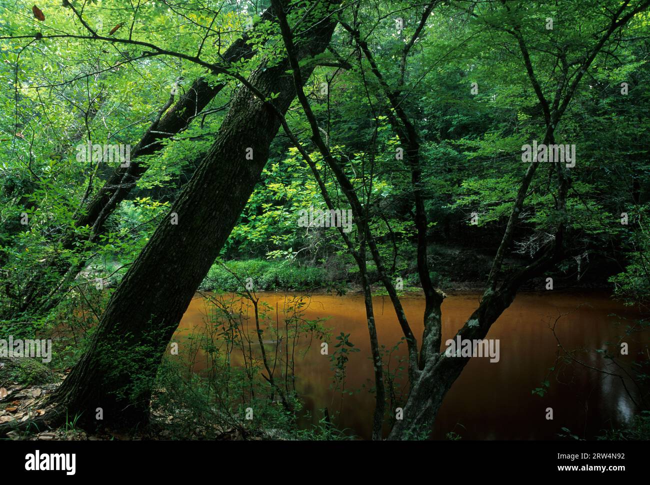 Sandy springs park hi-res stock photography and images - Alamy