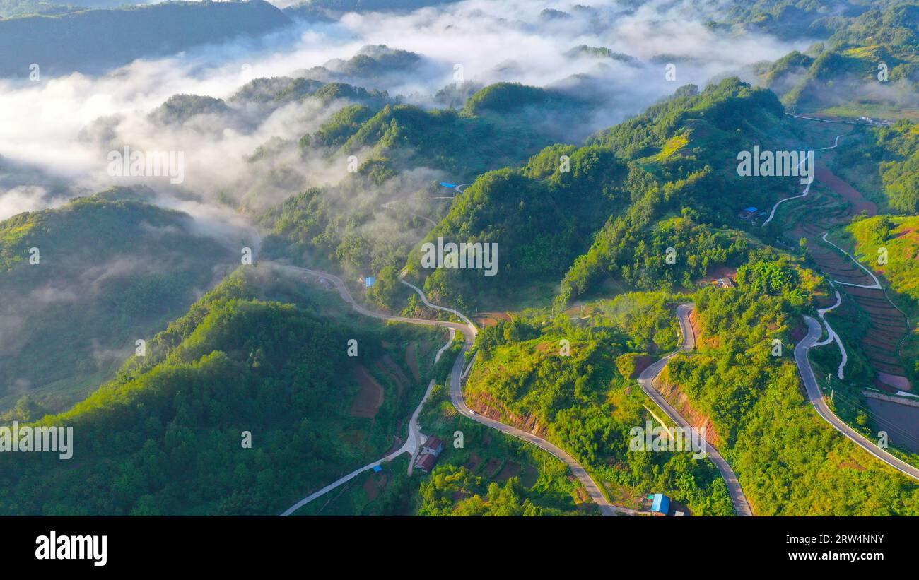 Vehicles drive along a rural road shrouded by clouds in Meihua village ...