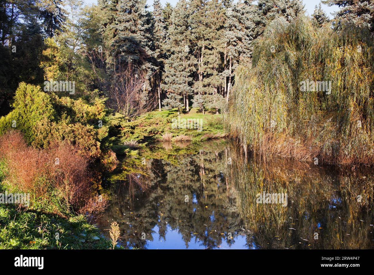 Pond in Skaryszewski Park in Warsaw, Poland Stock Photo - Alamy