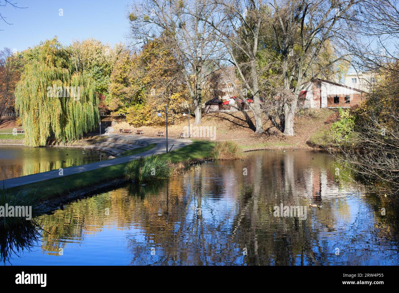 Pond with reflection on water in the Moczydlo Park in Warsaw, Poland ...