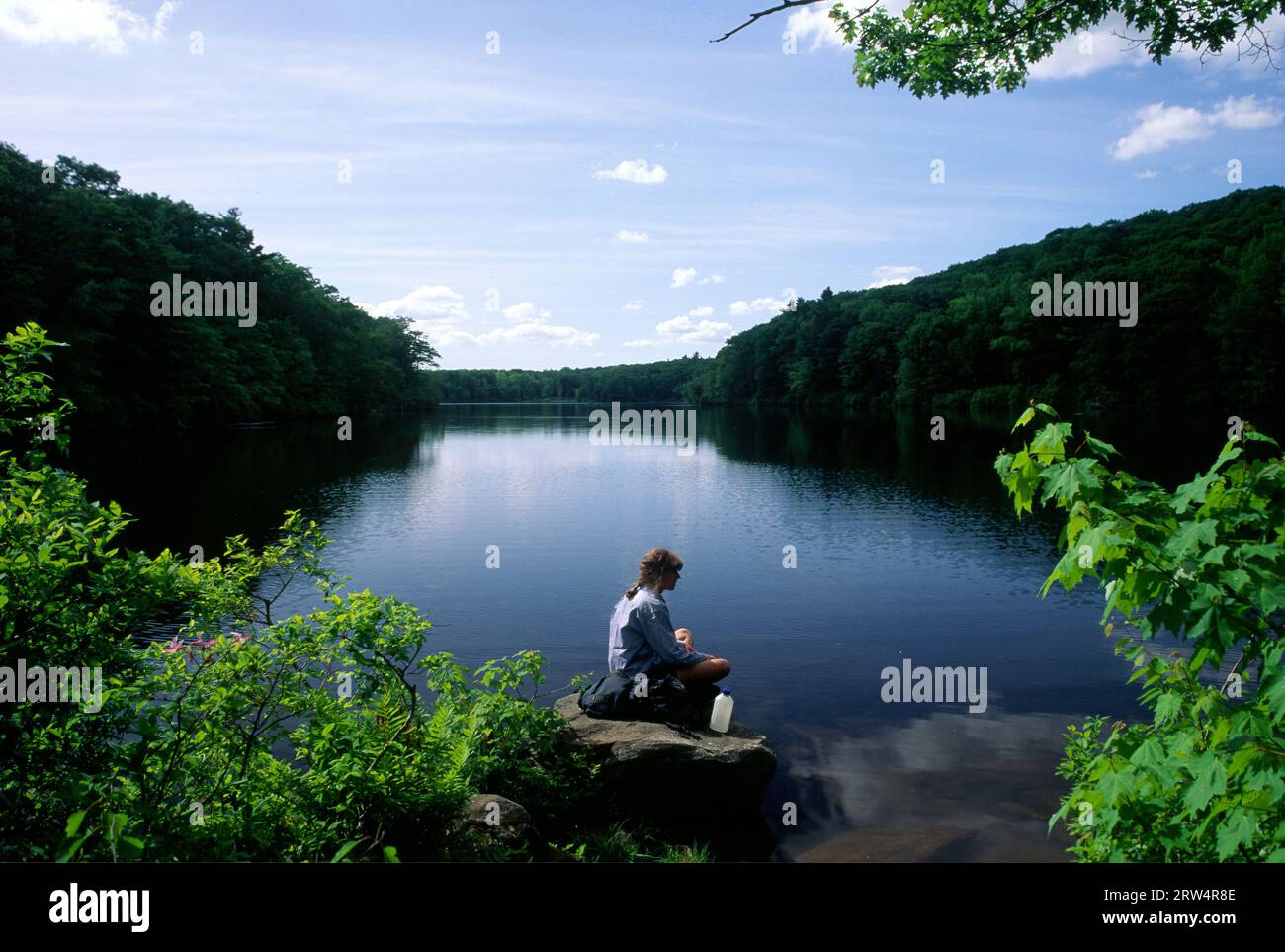 Benedict Pond, Beartown State Forest, Massachusetts Stock Photo - Alamy