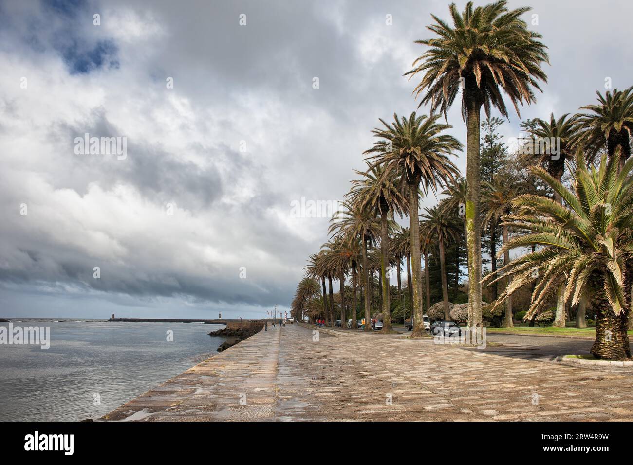 Promenade with palm trees at the mouth of river Douro in Foz district ...