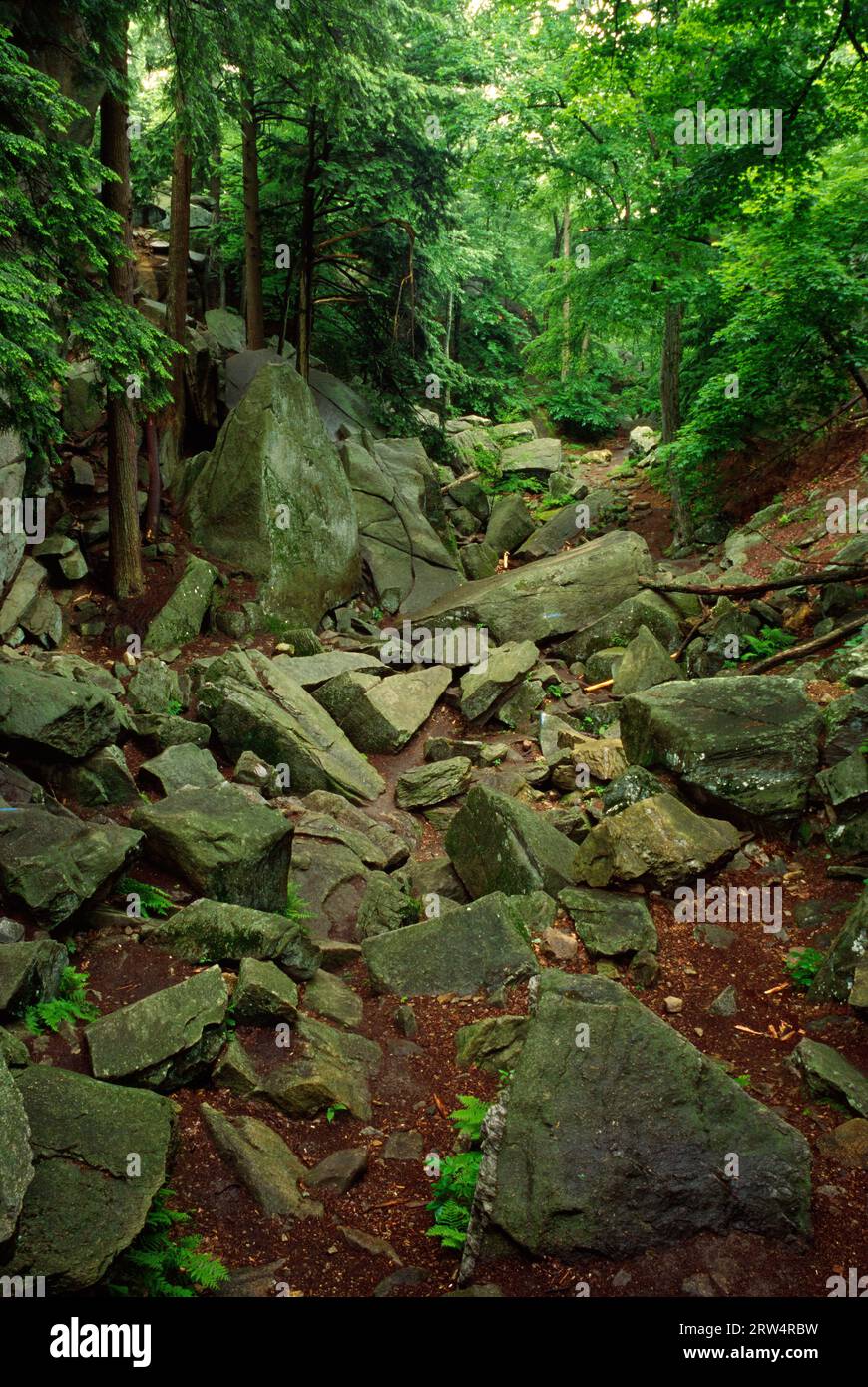 Purgatory Chasm, Purgatory Chasm State Park, Massachusetts Stock Photo ...