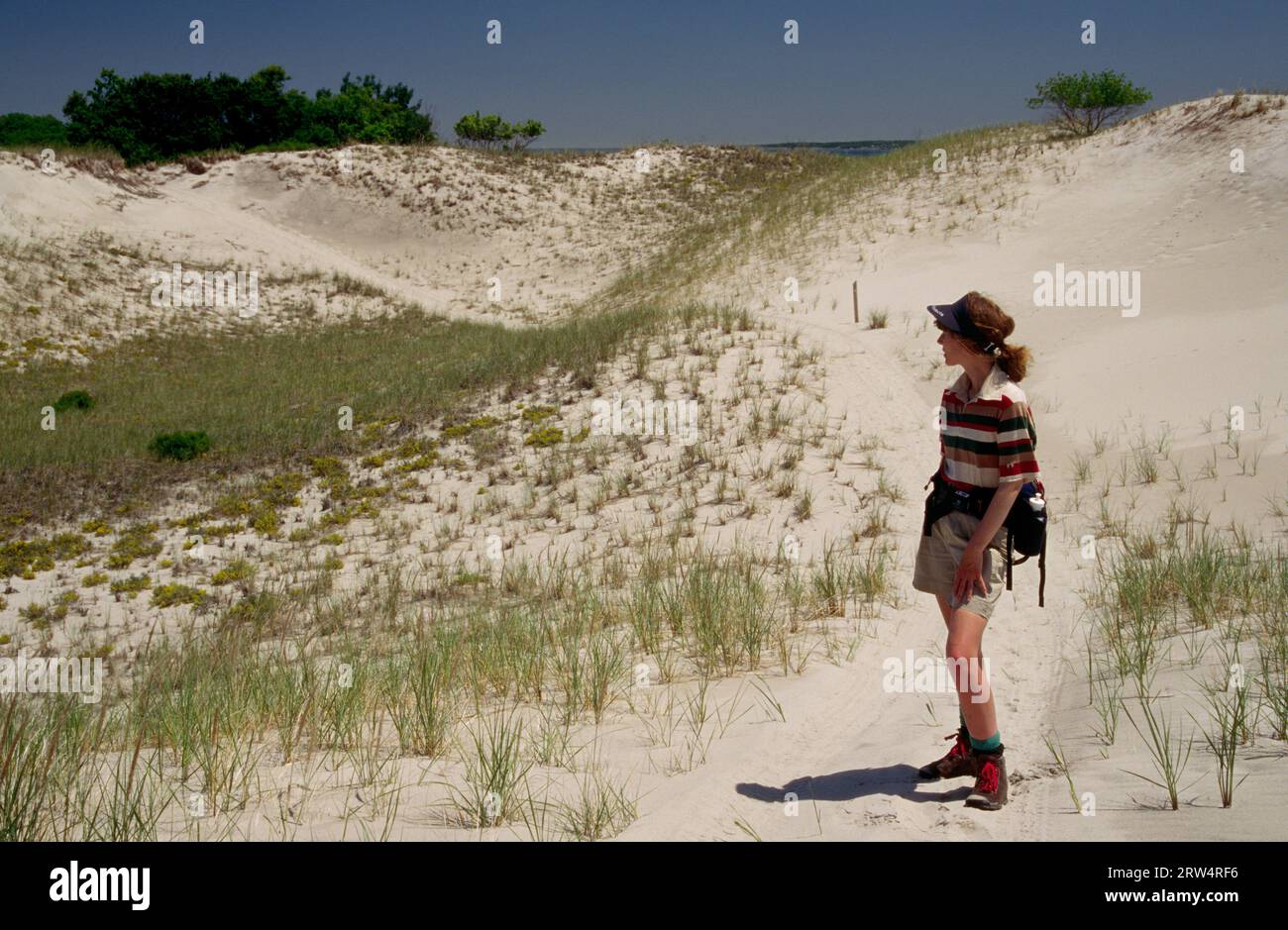 Dune trail, Crane Beach Reservation, Massachusetts Stock Photo - Alamy