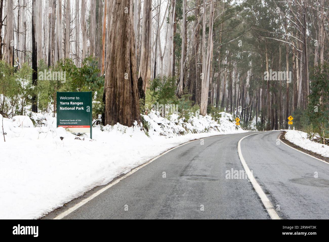 The road to Lake Mountain in Yarra Ranges National Park after a snow ...