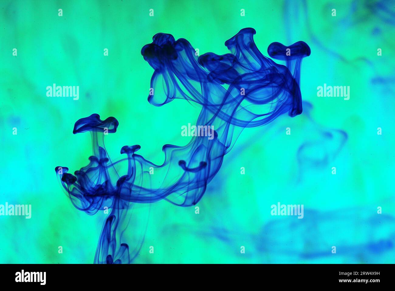 Blob tint hi-res stock photography and images - Alamy