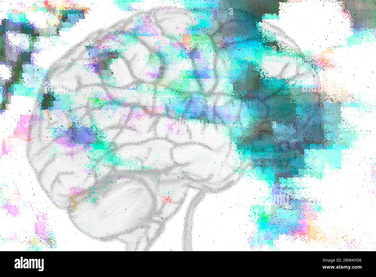 The human brain is characterised by voluminous cerebrum. The brain stem ...