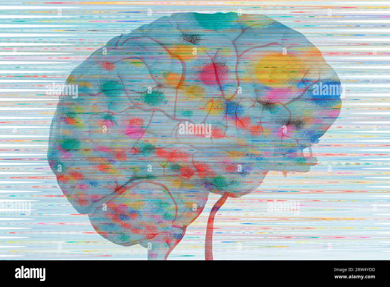 The human brain is characterised by voluminous cerebrum. The brain stem ...