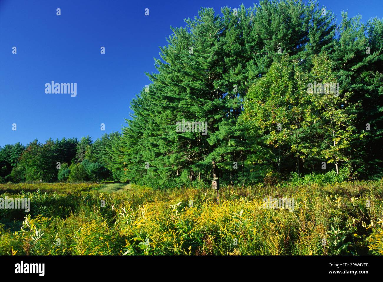 Stillwater farm interpretive site hi-res stock photography and images ...