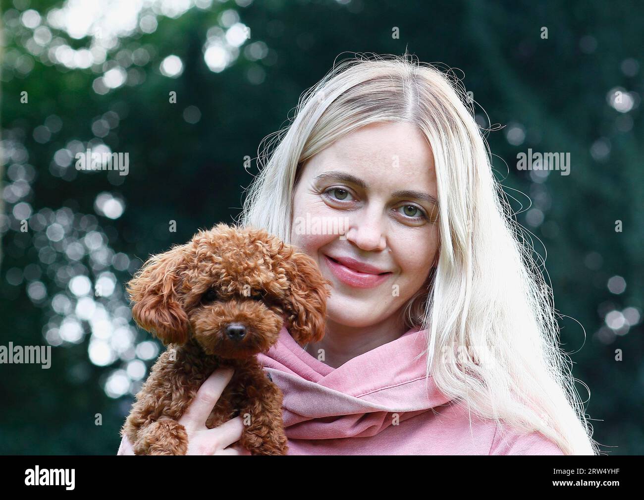 Young woman with Toy Poodle (Canis lupus familaris), 9 months, apricot ...