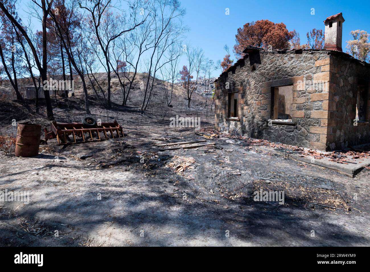 Banished land, trees, bushes, house, farmhouse, fire, forest fire 2023 ...