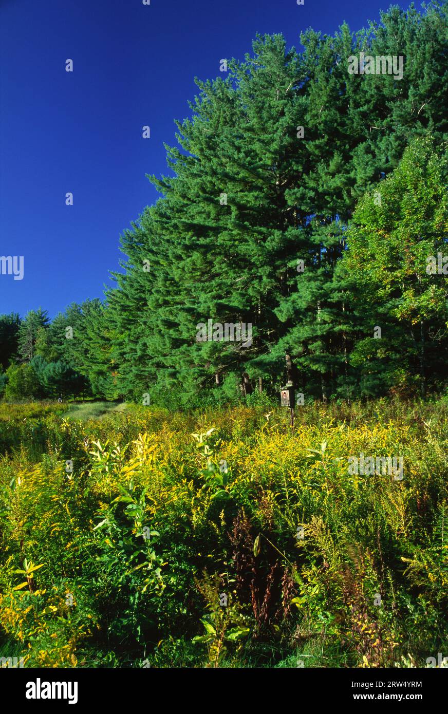 Stillwater farm interpretive site hi-res stock photography and images ...
