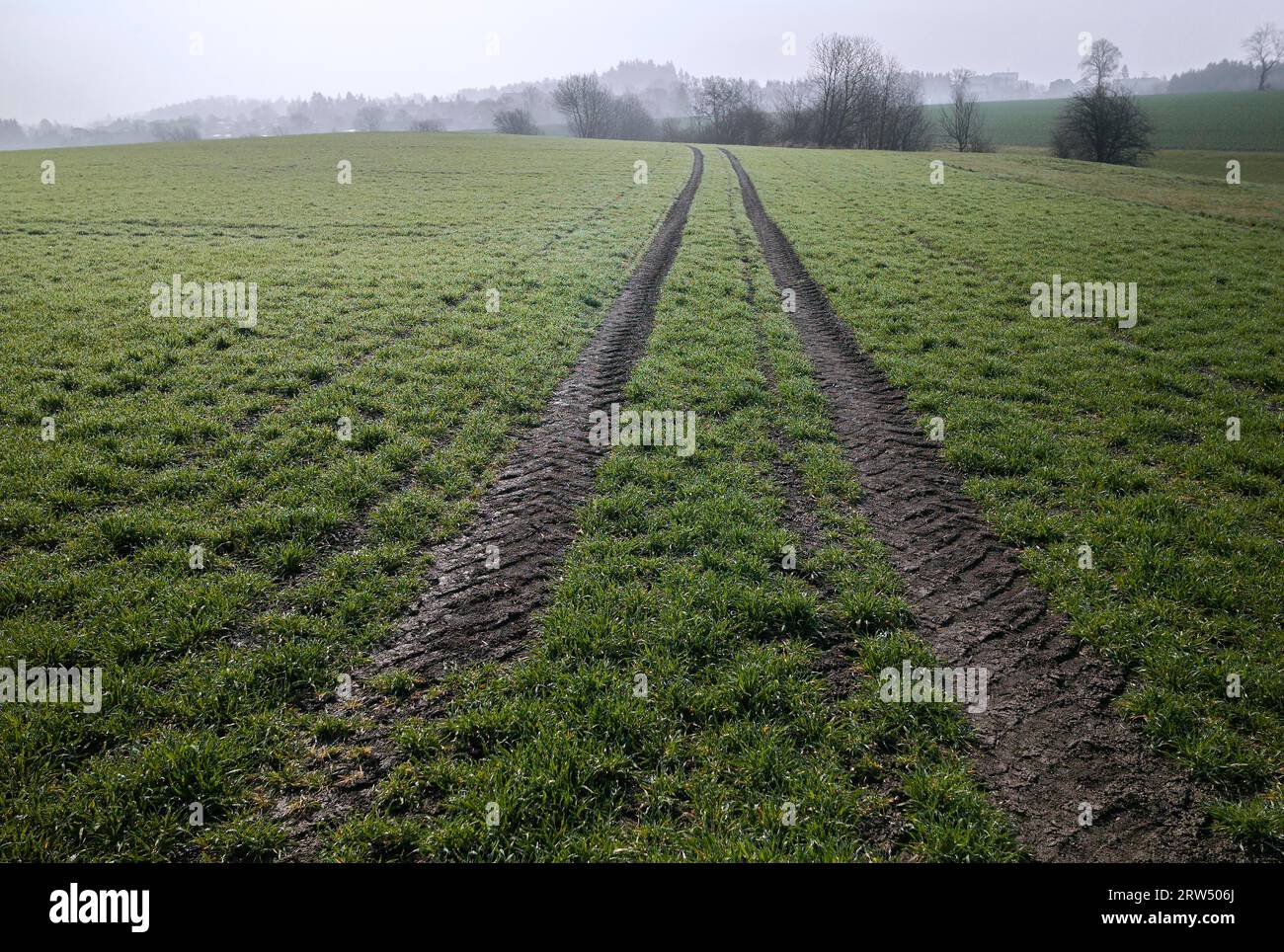 Tracks tracks tracks tracks grove hi-res stock photography and images ...