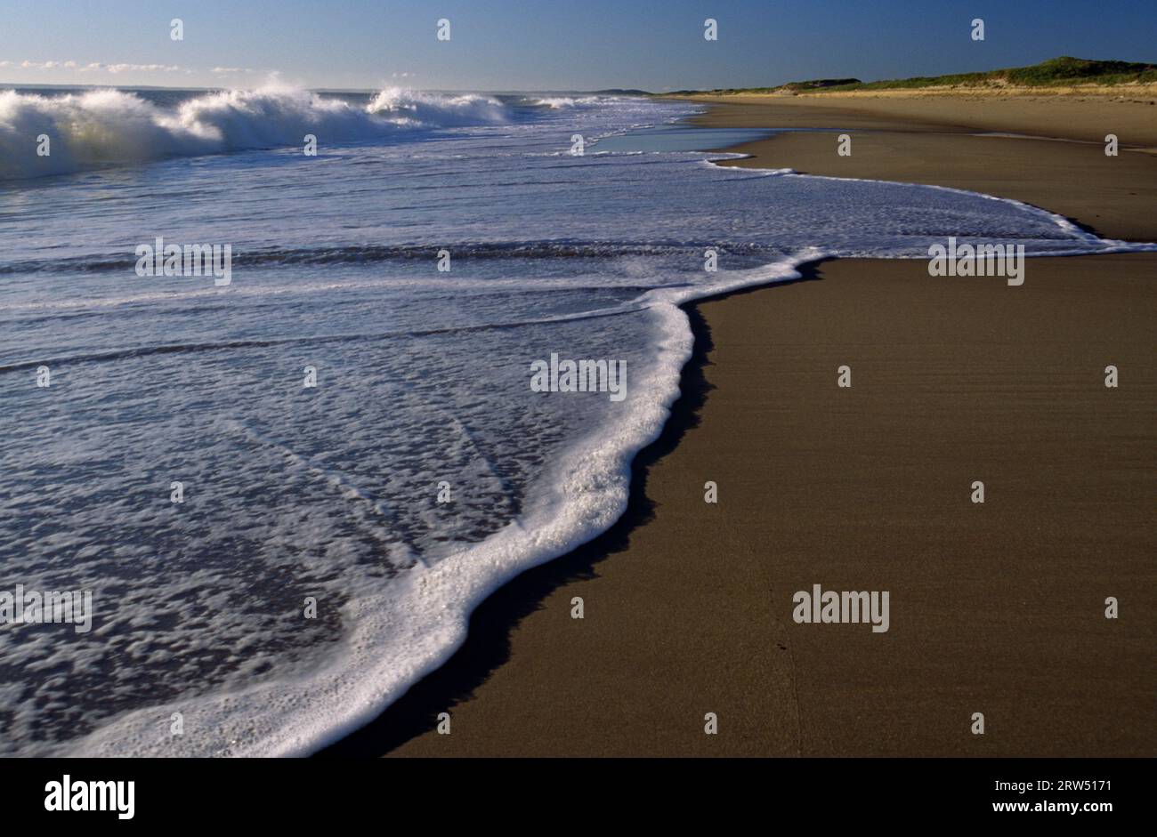 Beach, Parker River National Wildlife Refuge, Massachusetts Stock Photo ...