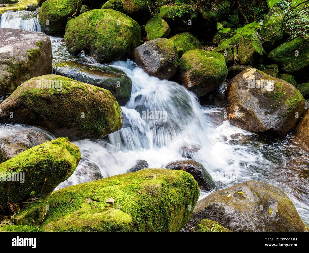 Forest mountain river flowing over boulders and rocks. Wairere falls ...