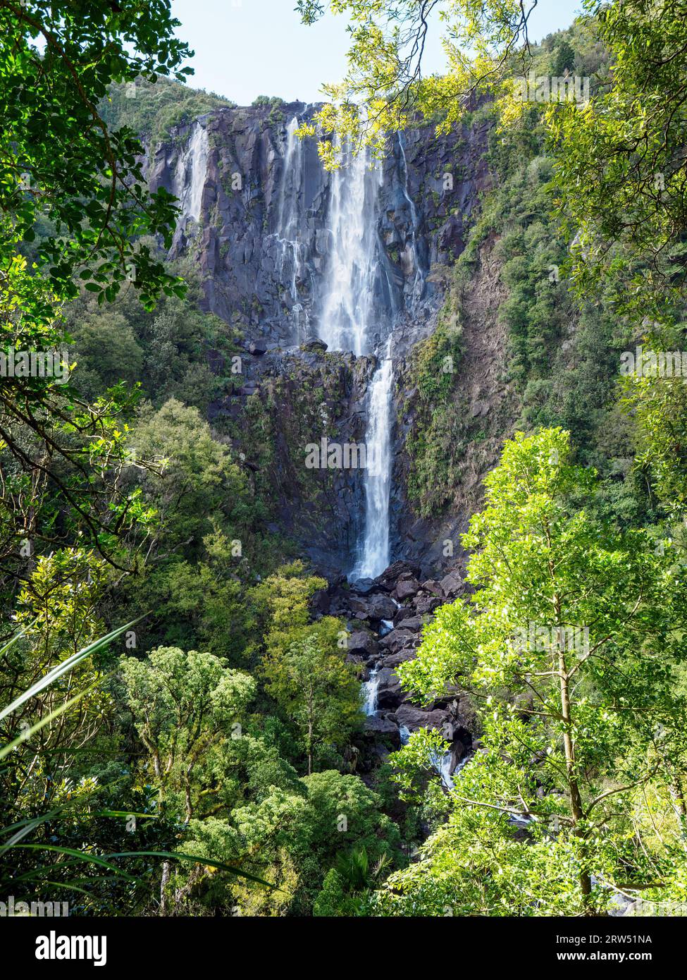 Wairere waterfall from lookout, highest waterfall in North Island, New ...