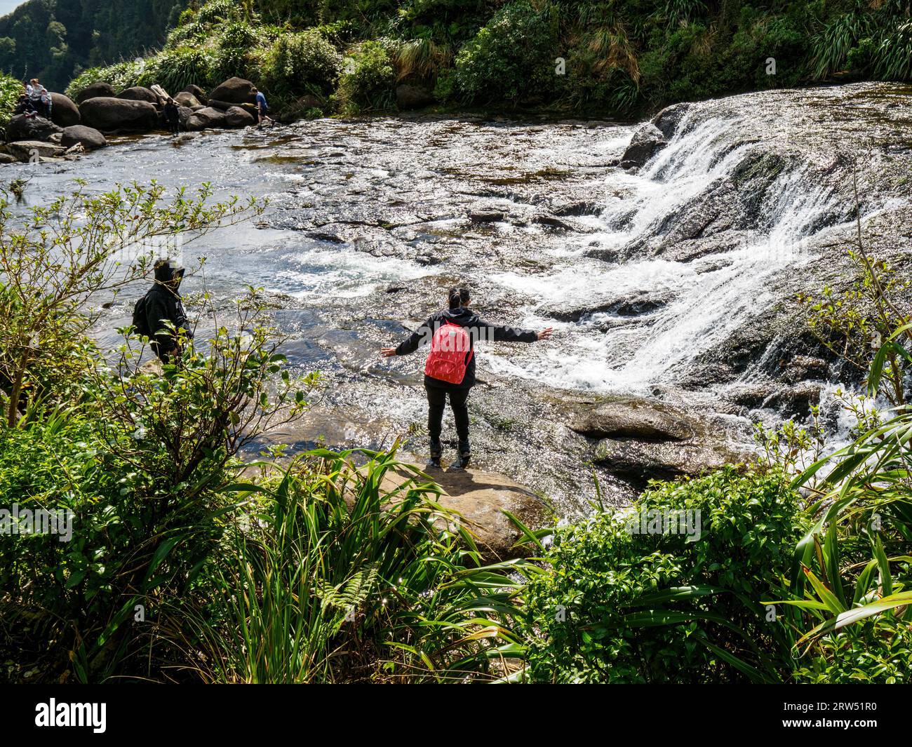 Waikato plains from Wairere falls track summit lookout. Highest ...