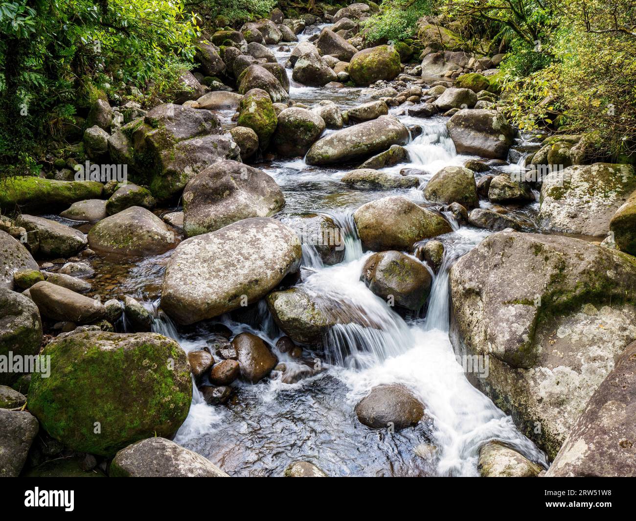 Forest mountain river flowing over boulders and rocks. Wairere falls ...