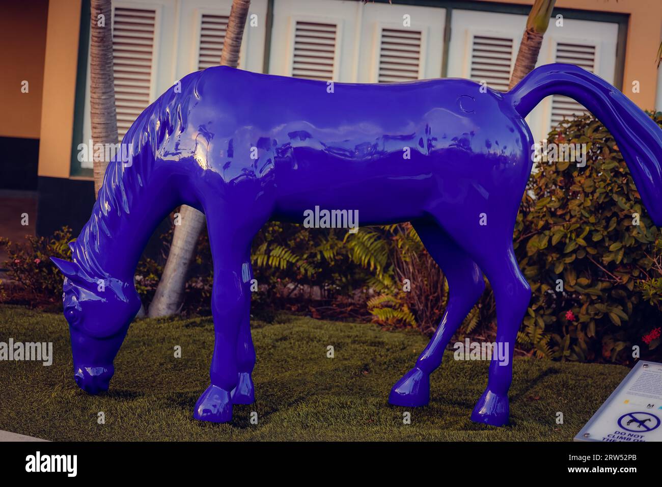 Oranjestad, Aruba - Blue horse statue tribute to Paarden Baai (Horses ...