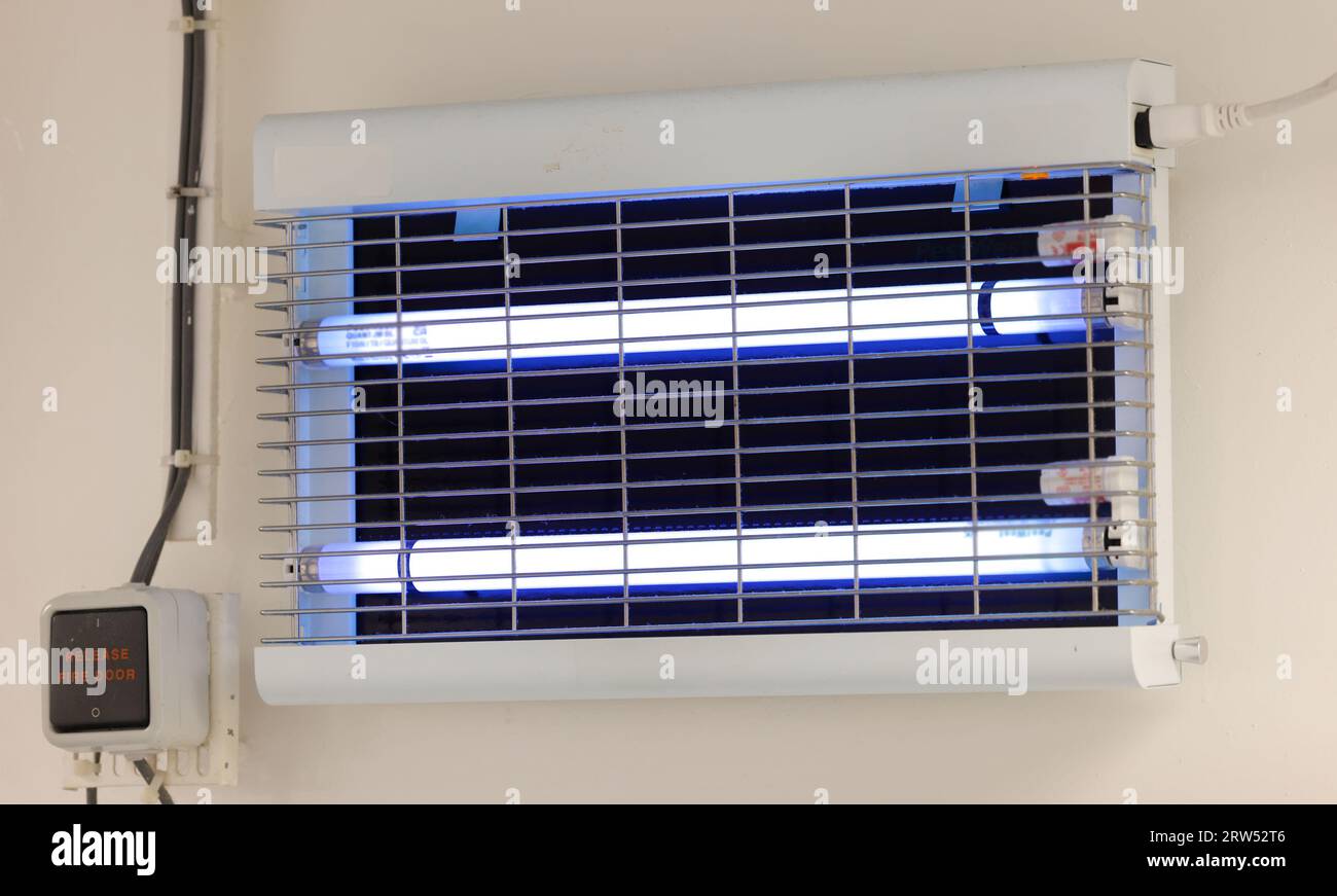 Insect & pest killer machine hanging Stock Photo - Alamy