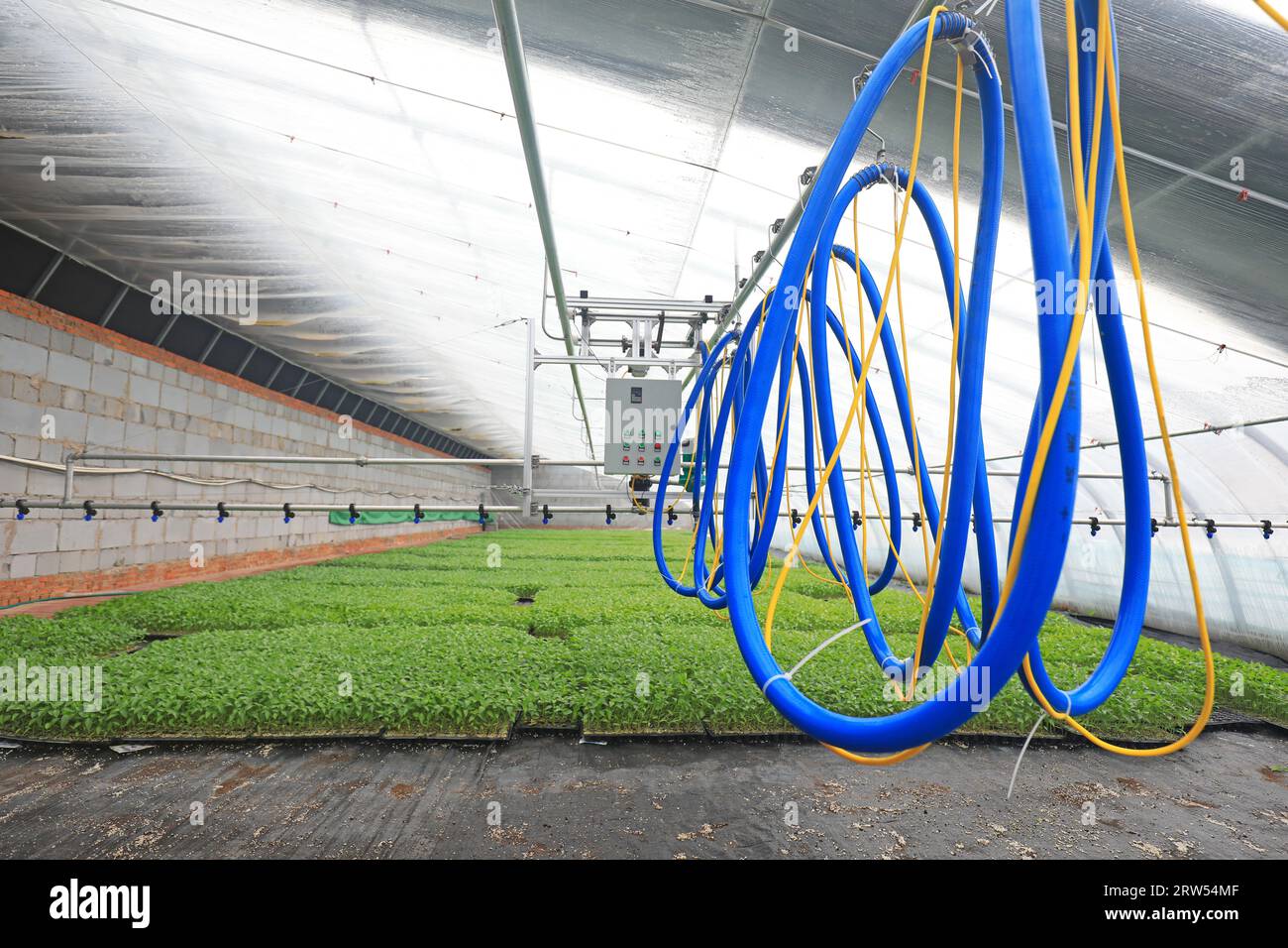 Intelligent spray equipment nursery, North China Stock Photo - Alamy