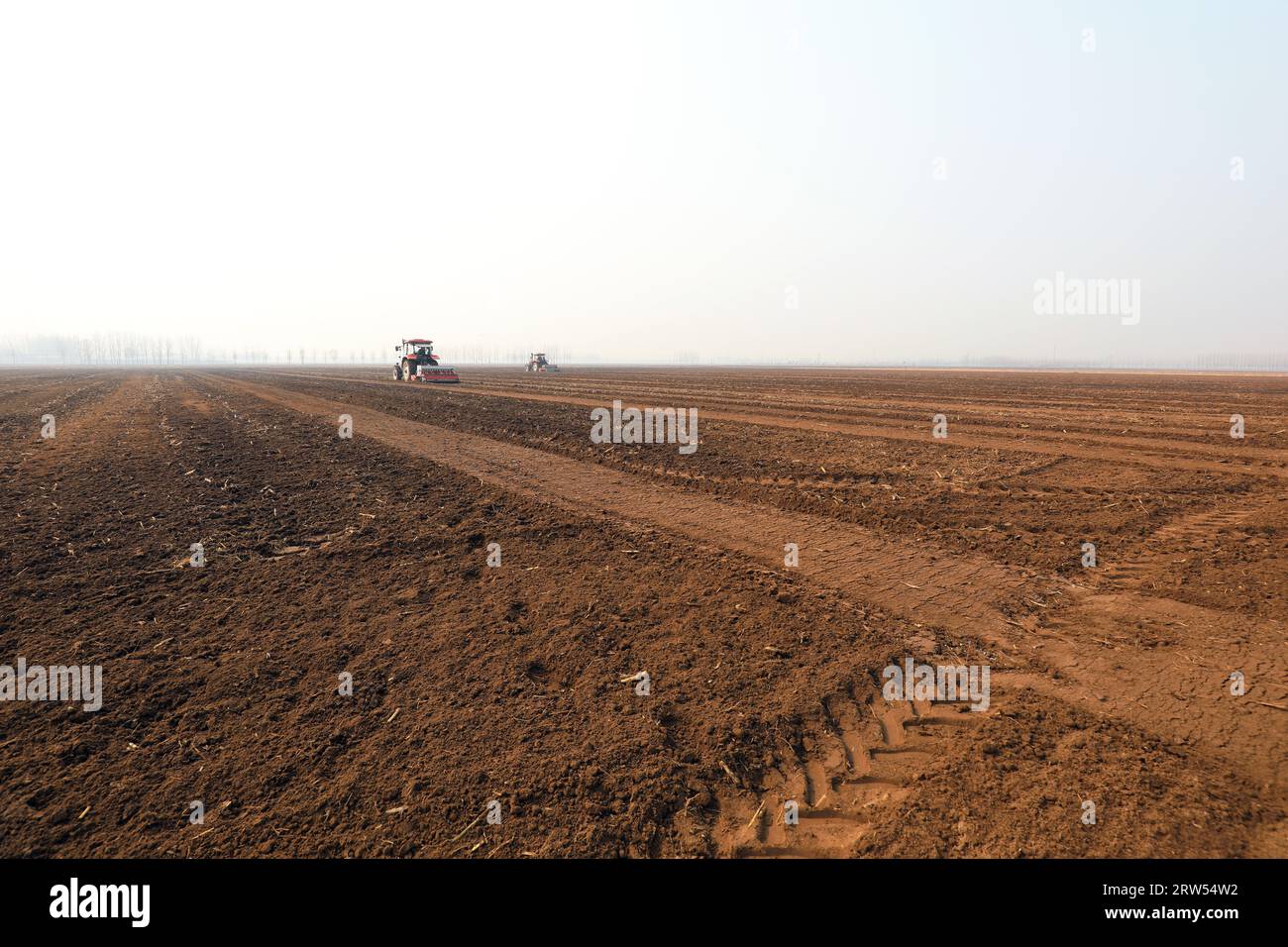 Farmers drive planters to grow peas on the farm Stock Photo - Alamy