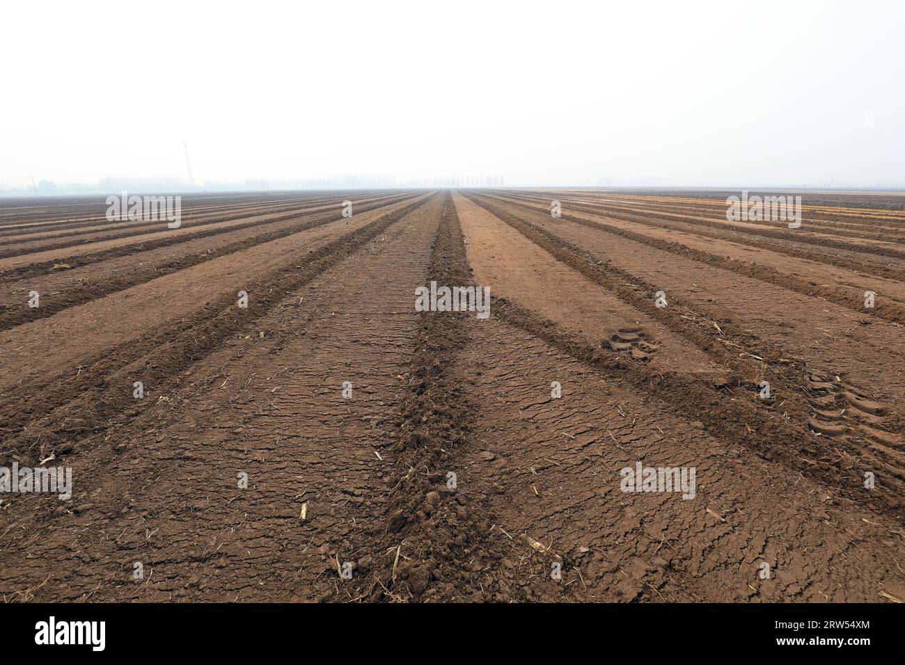 Flat land ready for cultivation, North China Stock Photo - Alamy