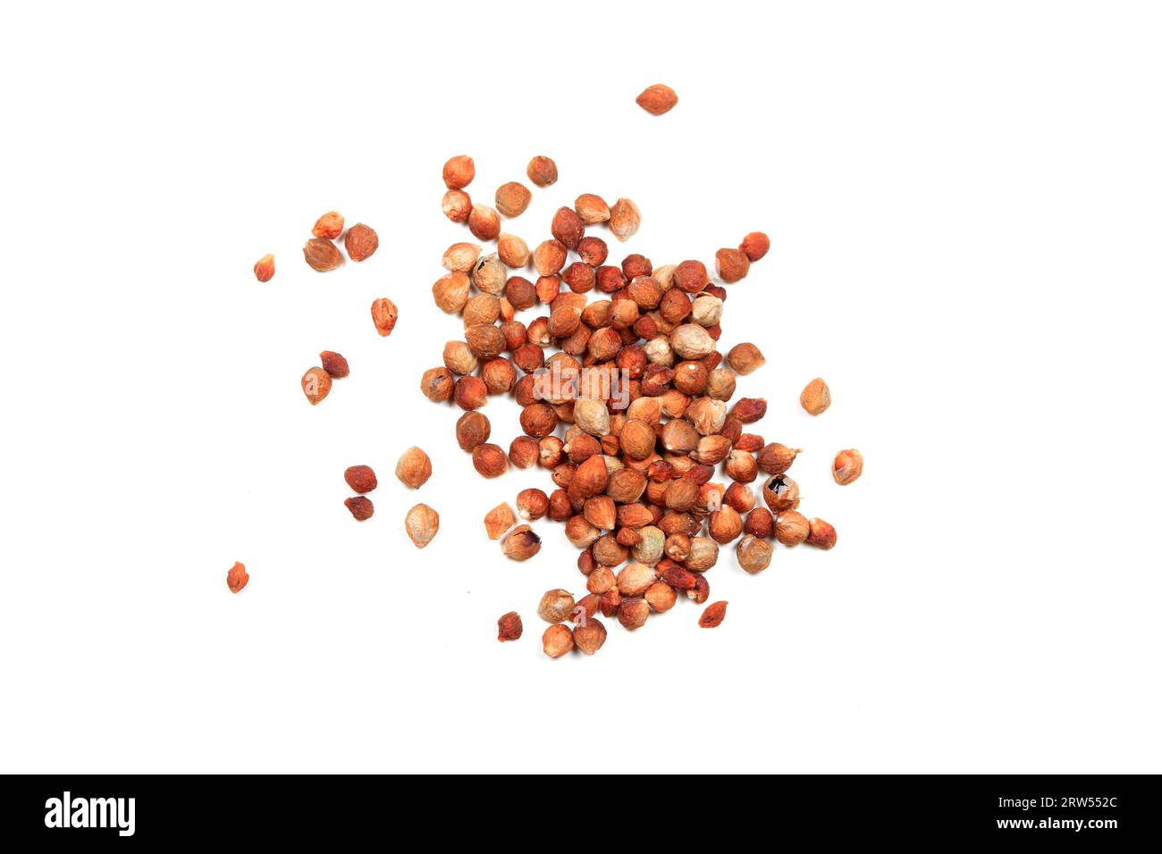 Wild plant seeds in white background Stock Photo - Alamy