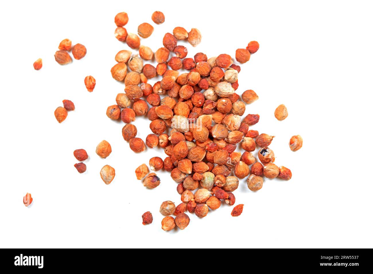 Wild plant seeds in white background Stock Photo - Alamy