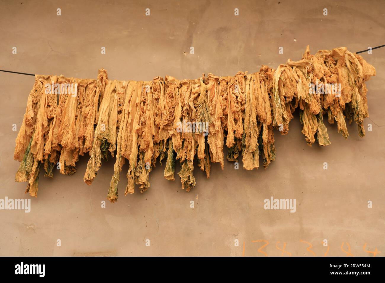 Dried cabbage hanging on the wall, North China Stock Photo - Alamy