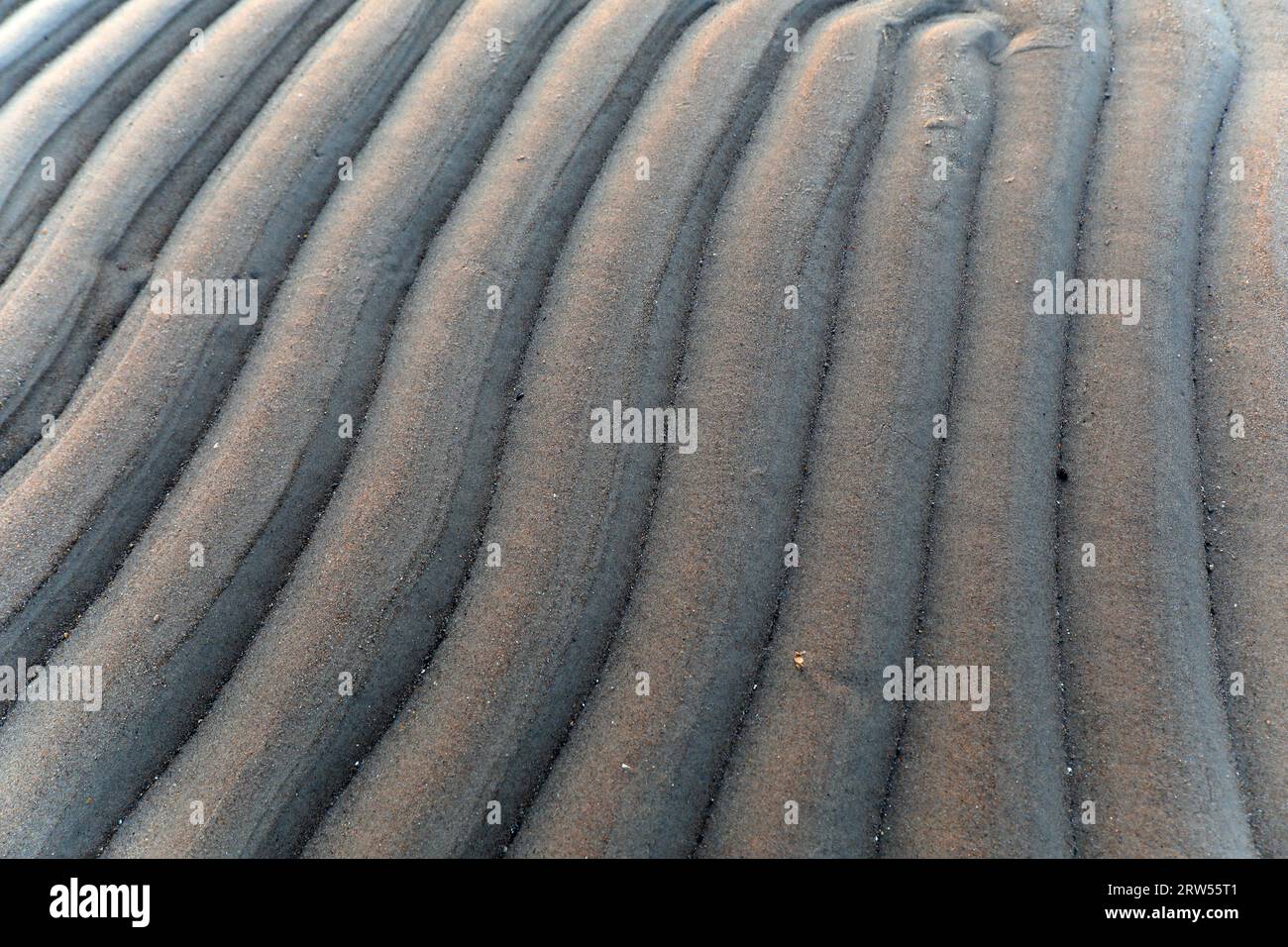 Texture structure of seaside beach Stock Photo - Alamy