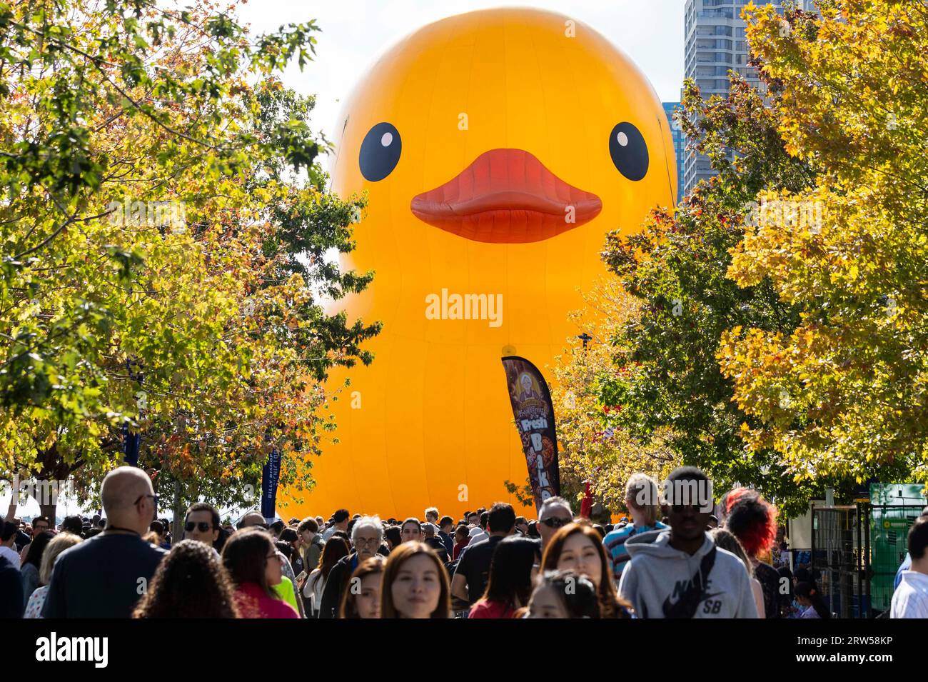 Toronto, Canada. 16th Sep, 2023. A giant yellow rubber duck is seen ...