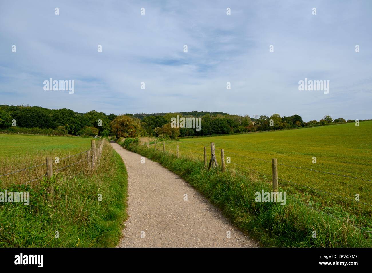 The footpath from West Stoke village and parking to Kingley Vale ...