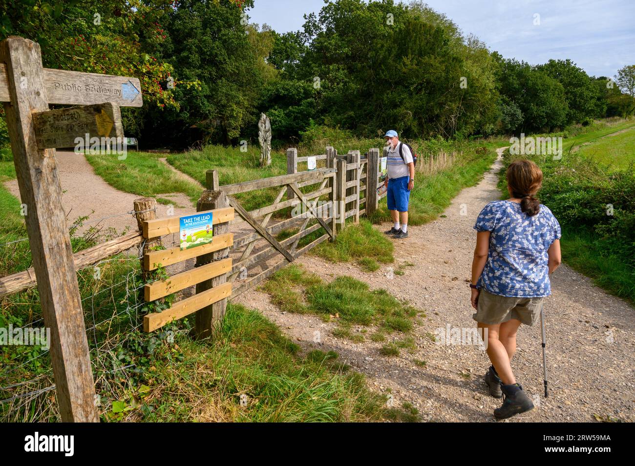Kingley vale nature reserve hi-res stock photography and images - Alamy