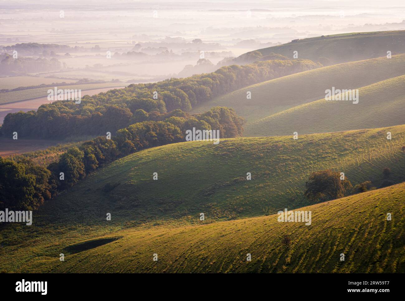 Misty morning on the escarpment of Firle beacon on the south downs in ...