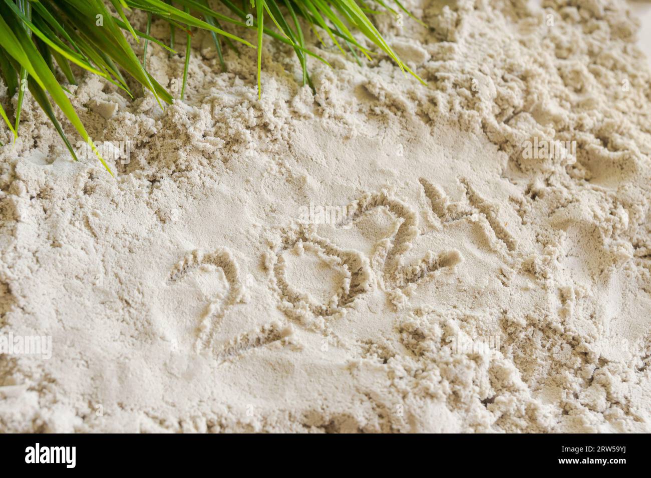 New year concept. 2024 handwritten on beach sand with green plants in a ...