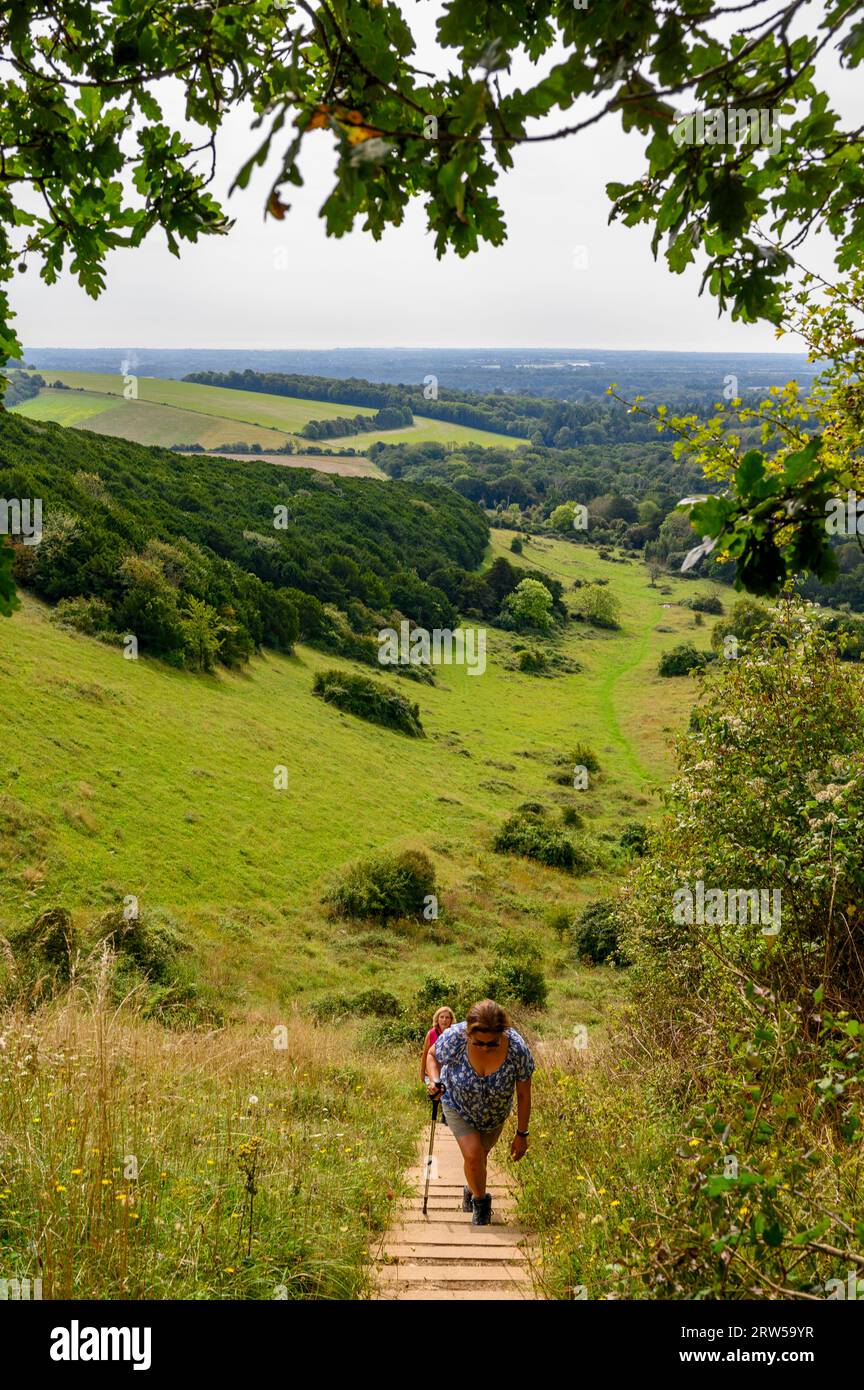 View over the countryside to the south coast with two female walkers ...