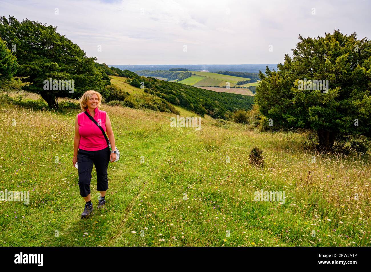 Middle aged english woman hi-res stock photography and images - Alamy