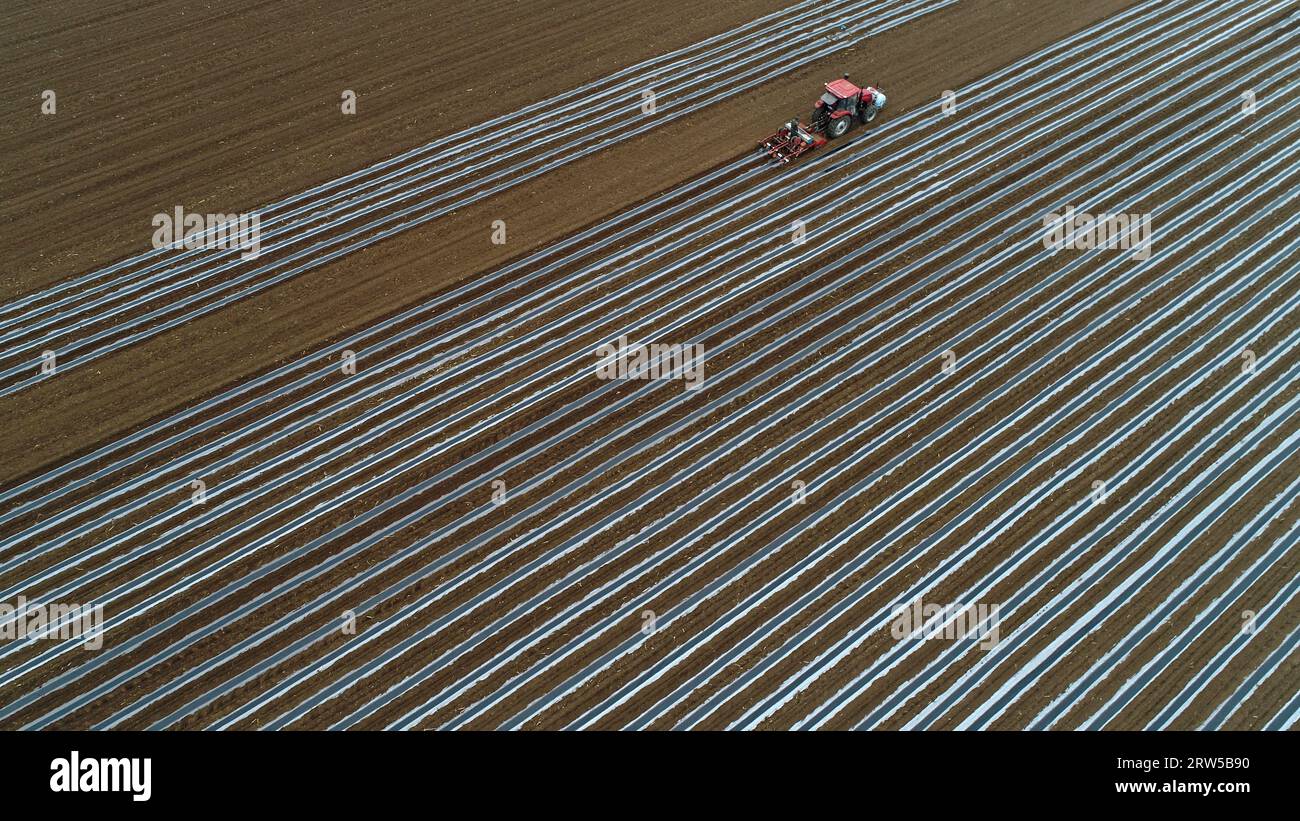 A farmer drives a planter to plant corn on a farm, aerial photo, North ...