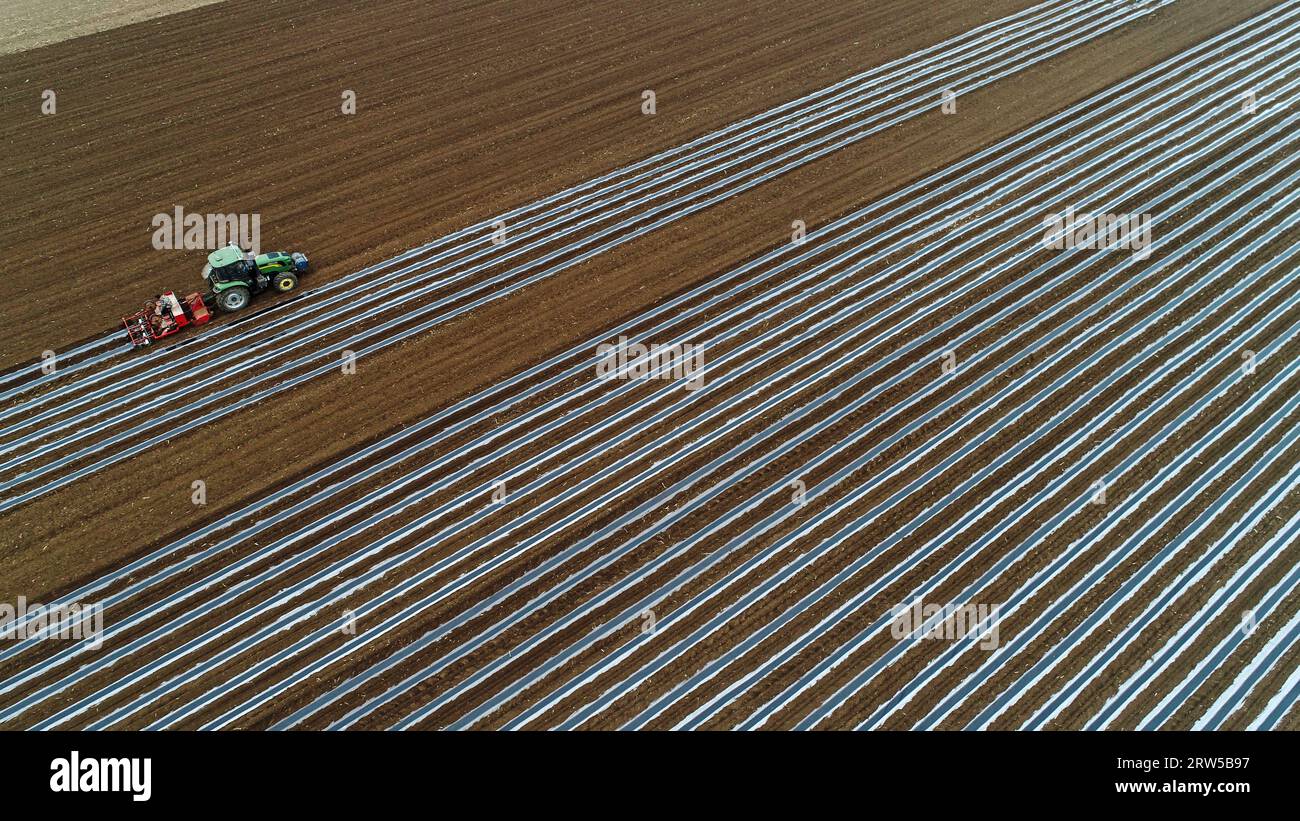 A farmer drives a planter to plant corn on a farm, aerial photo, North ...