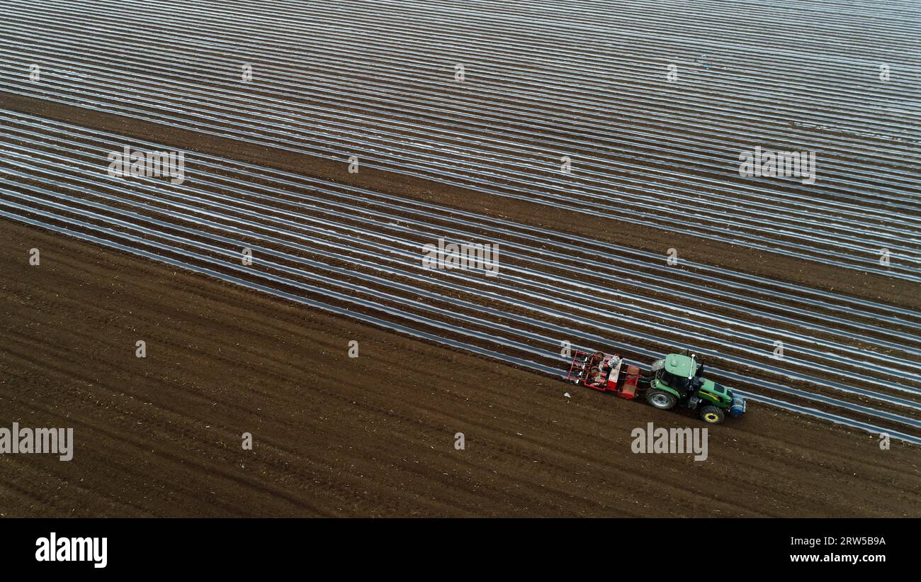 A farmer drives a planter to plant corn on a farm, aerial photo, North ...