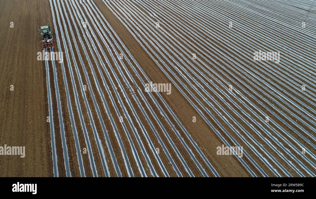 Aerial view farm planting corn hi-res stock photography and images - Alamy
