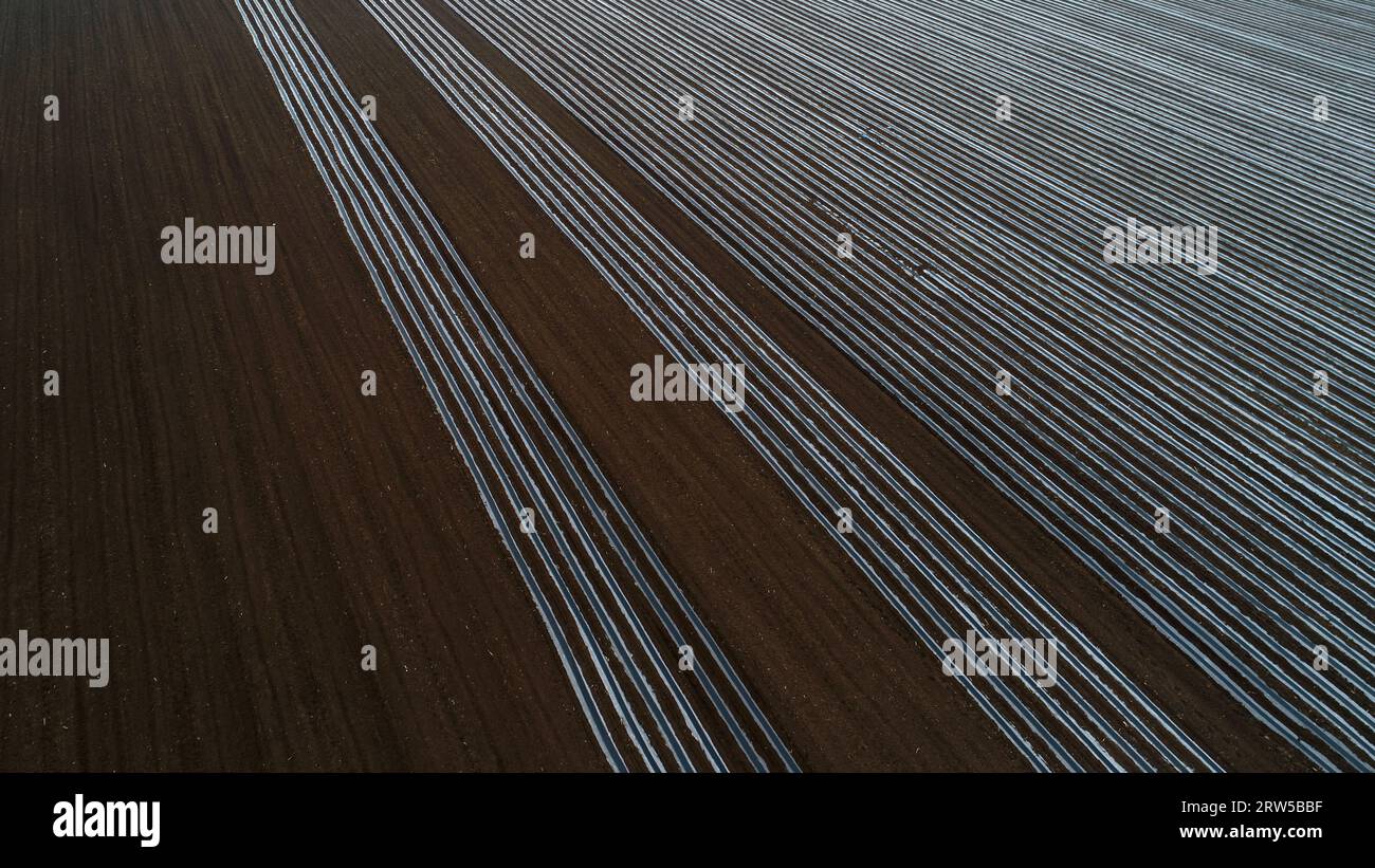 Aerial view planting corn hi-res stock photography and images - Alamy