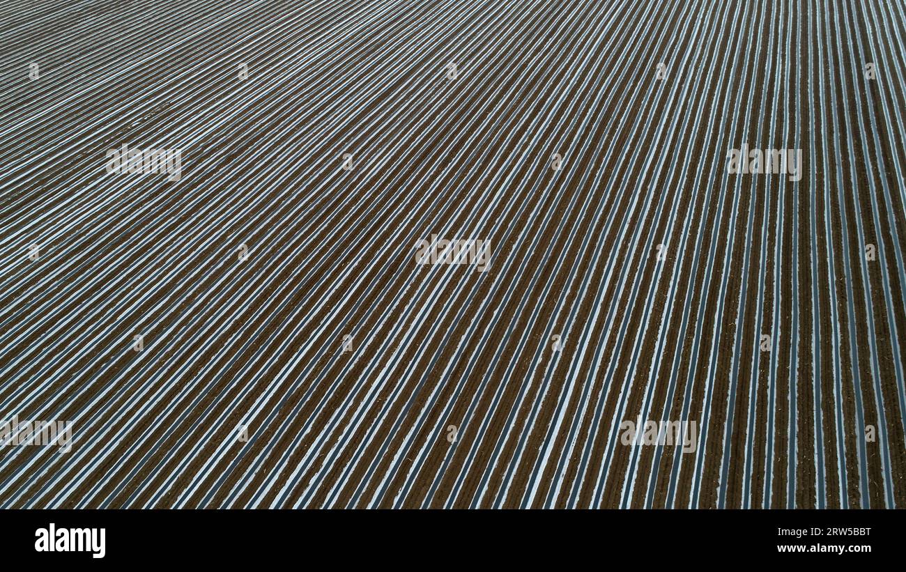 Aerial view planting corn hi-res stock photography and images - Alamy