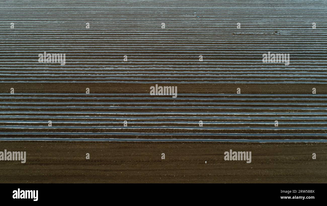 Aerial view planting corn hi-res stock photography and images - Alamy