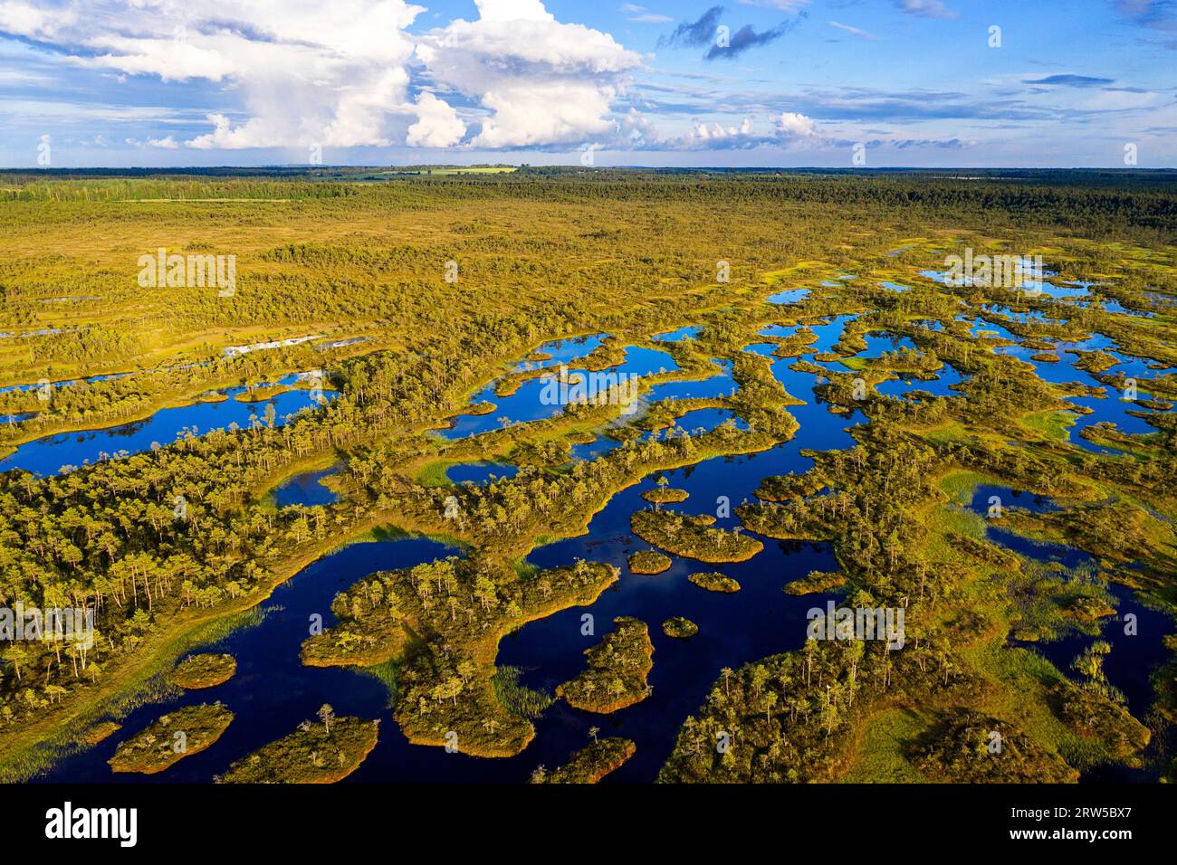 Aerial view of spectacular Mannikjarve bog pools and islets in Endla ...